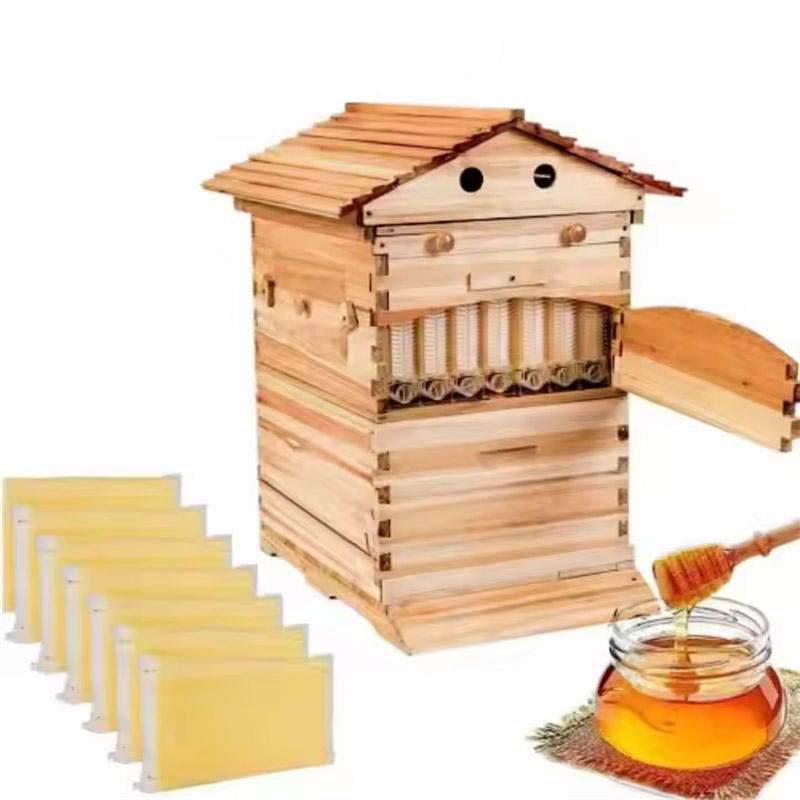 Wholesale Full Set Atuo Flowing Honey Bee Hives Beekeeping 7 Frames