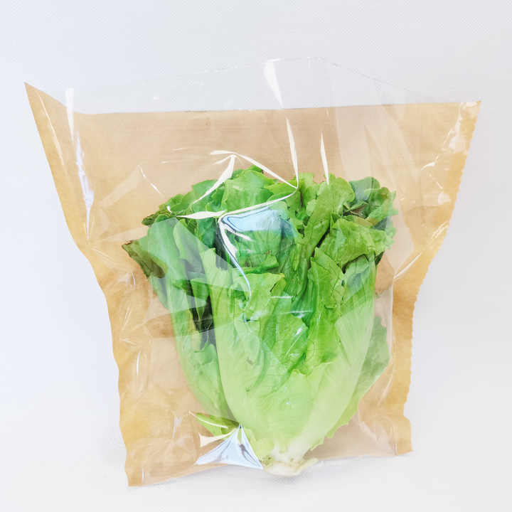 Eudeco Customized Recyclable Living Hydroponic Lettuce Bags