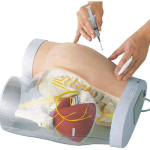 Wholesale intramuscular injection training model Items For Medical ...