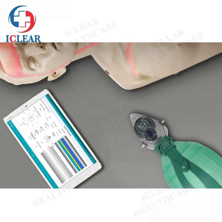 First Aid CPR Training Model with Blood Flow Visualization