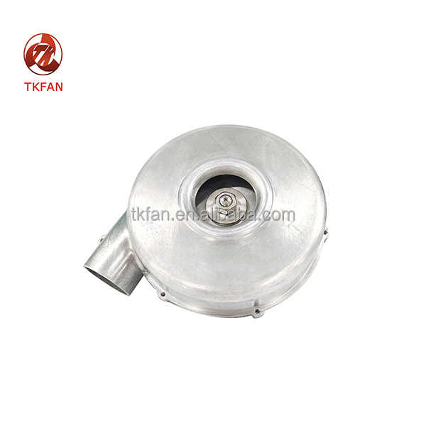 High-Power Mini Brushless DC Cordless Air Blower 12v/24v ODM