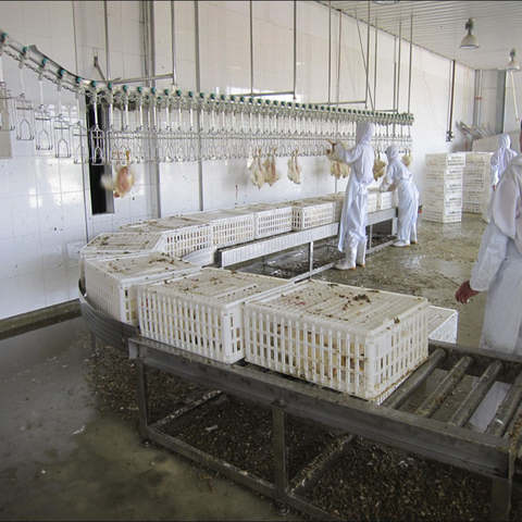 poultry processing inside outside bird washer for chicken farm slaughterhouse equipment| Alibaba.com