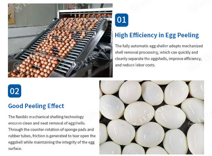 LONKIA Multi Functional Egg Sheller Machine/Stainless Steel Egg ...