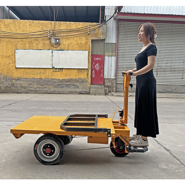 Shanqian Standing Three-Wheeled Flat Car Electric Hand Push Trolley ...