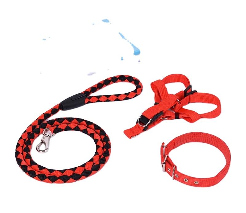 Kingtale Custom Nylon Braided Dog Collar Leash Harness Set Luxury ...