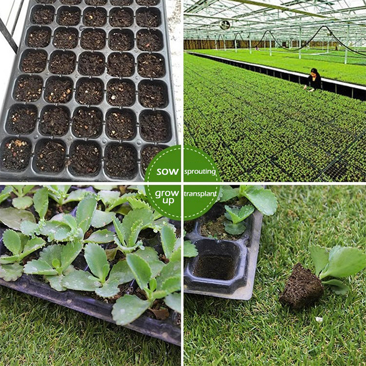 How to Choose the Best Vertical Farm Trays for Your System