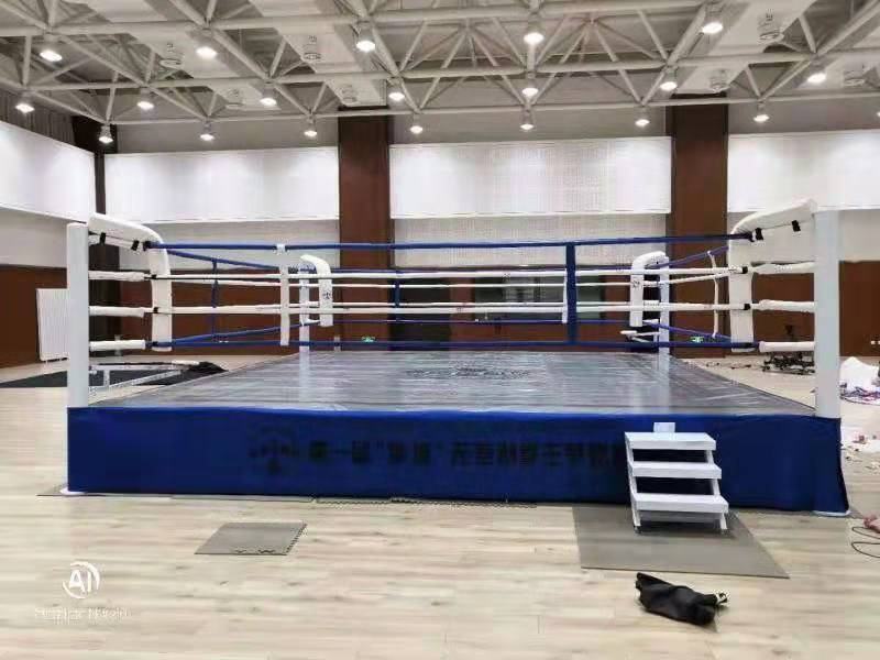 Customized Boxing Ring with Printed Logo | Durable Canvas Cover for ...