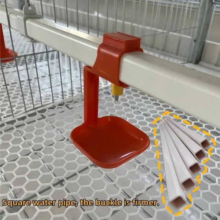 Chicken Drinker Line Automatic Poultry Drinker Line Chicken Drinker for ...