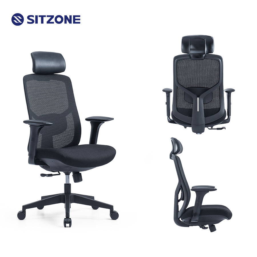 Ergonomic Office Chair with Adjustable Lumbar Support - Sitzone ...