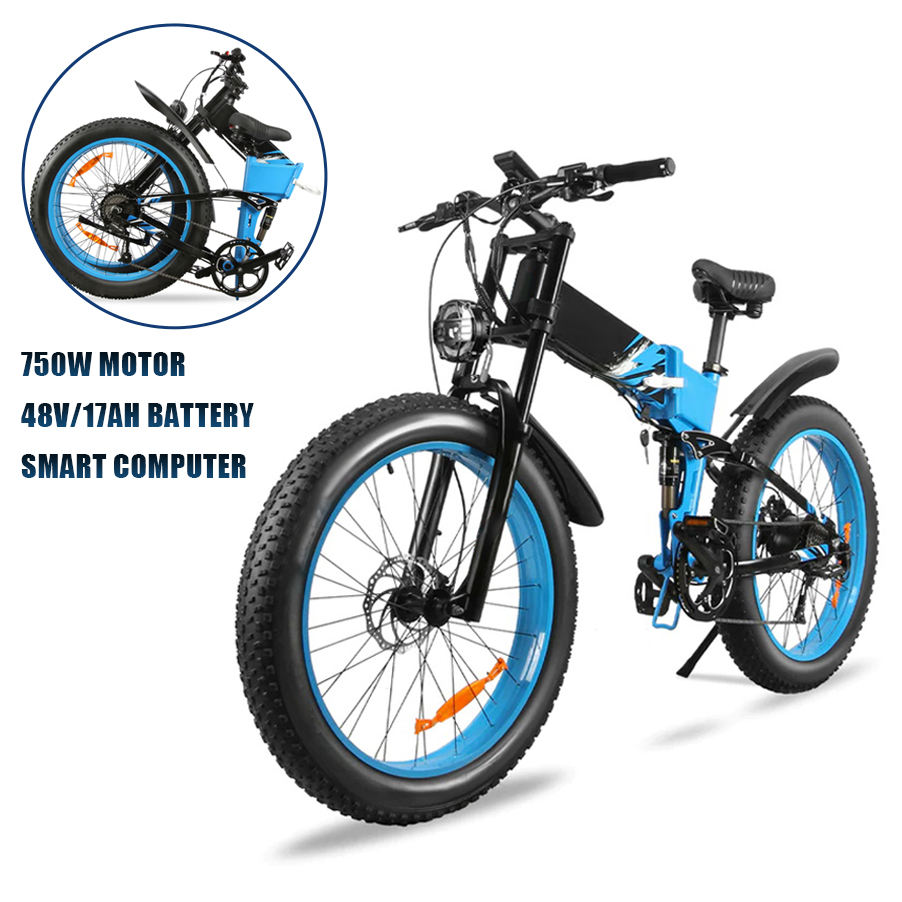 How to Choose the Best Poland Bike for Your Needs