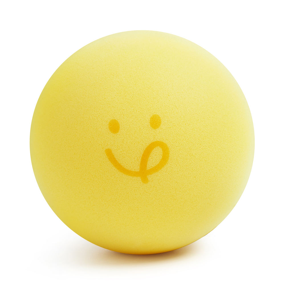 How to Choose the Best Sponge Ball: A Complete Buying Guide