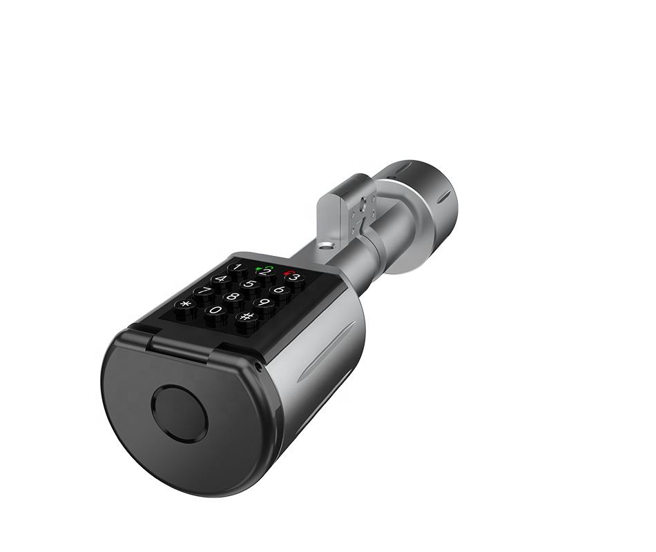 Waterproof IP66 Swiss Switzerland Cylinder Lock Ttlock