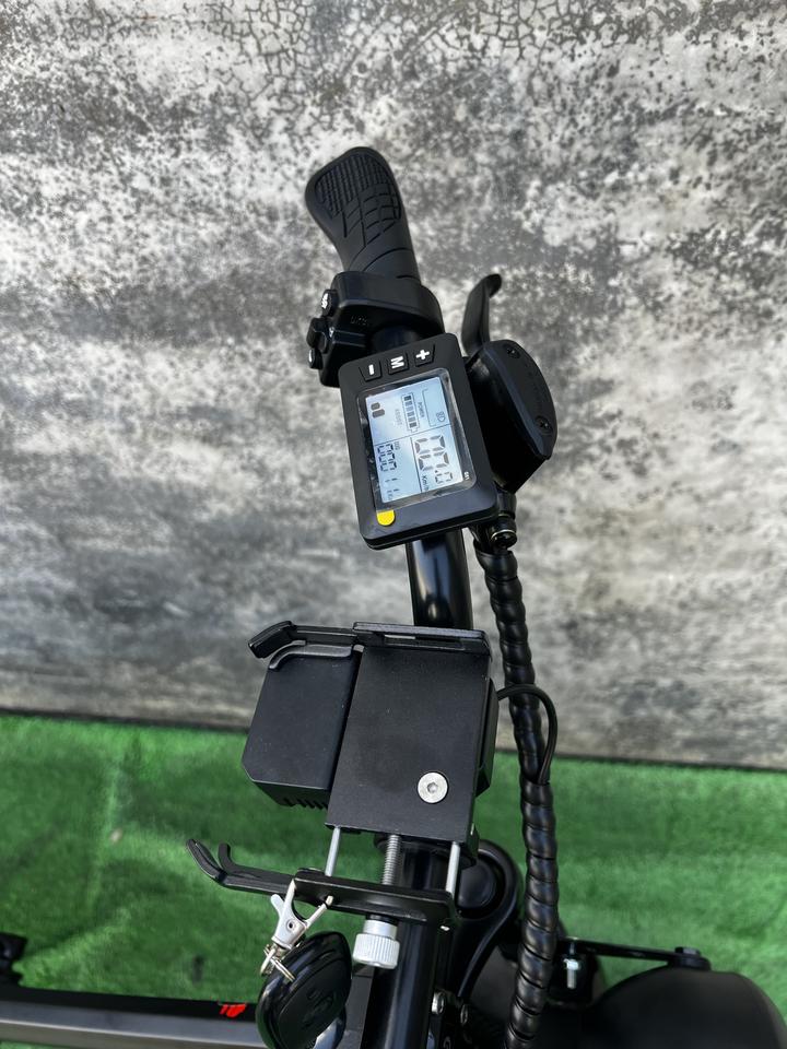 20"*4.0" Lithium Ion Electric Bicycle 48V 15ah 1000W with Big Rear ...