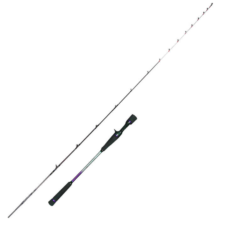Lure Rod Freshwater and Sea Fishing Rod Portable Multi-sections Casting ...