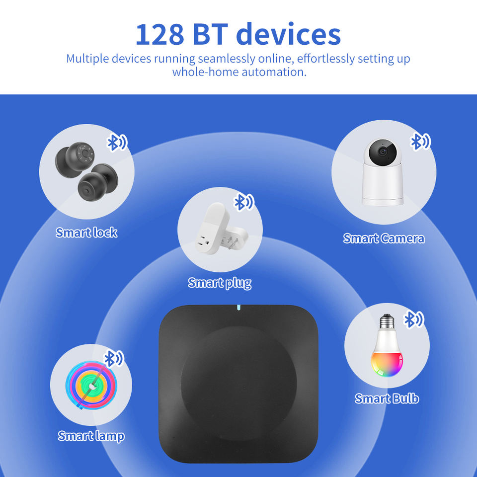 Customize Smart Home Dual-Band WiFi Smart Switch USB Power LAN ...
