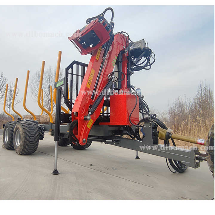 Z Type Timber Crane - 2000kg Lifting Force & Video Inspection