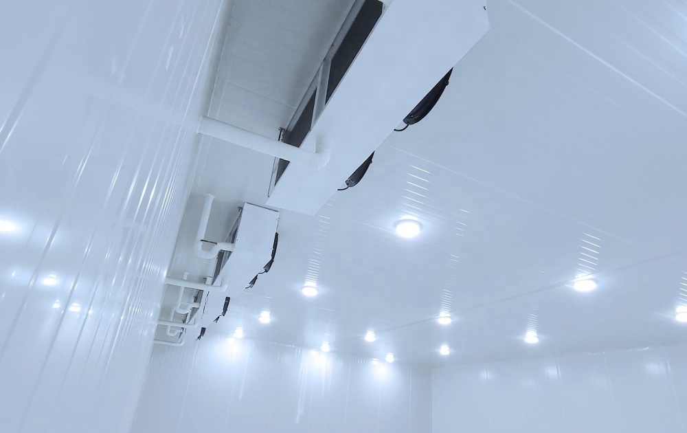 Optimal Solutions for Efficient freezer fri cold storag room in ...