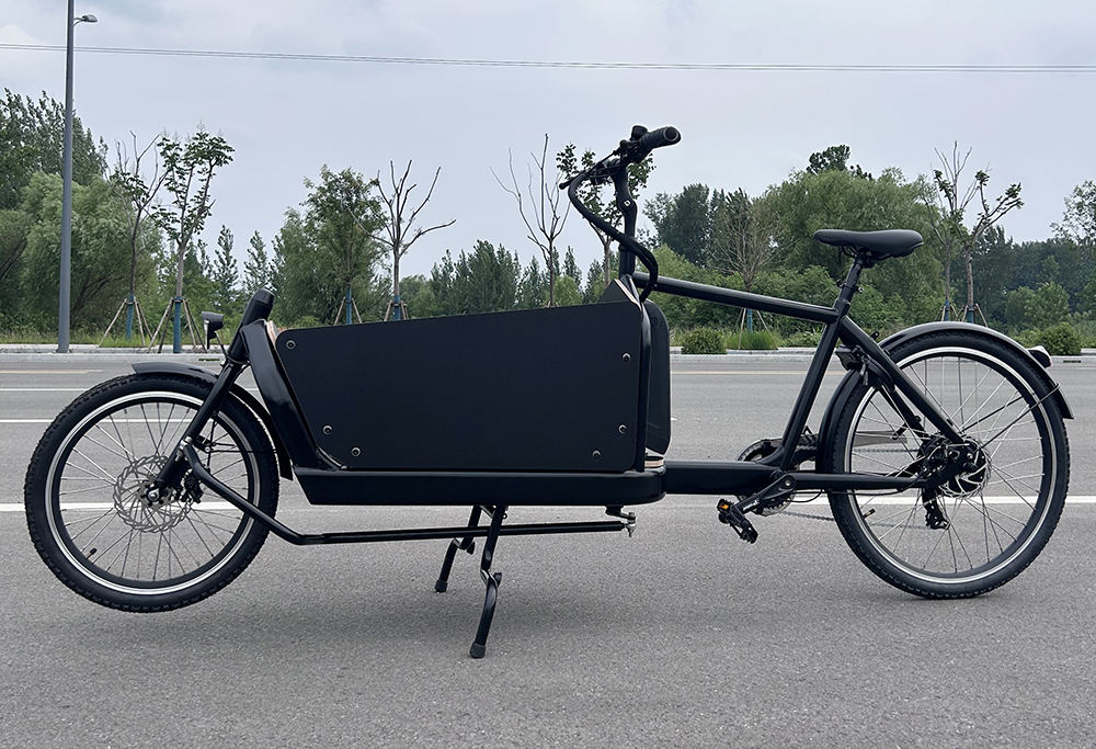 How to Choose a Cargo Ebike with Front Load Kids Seats & Dual Batteries
