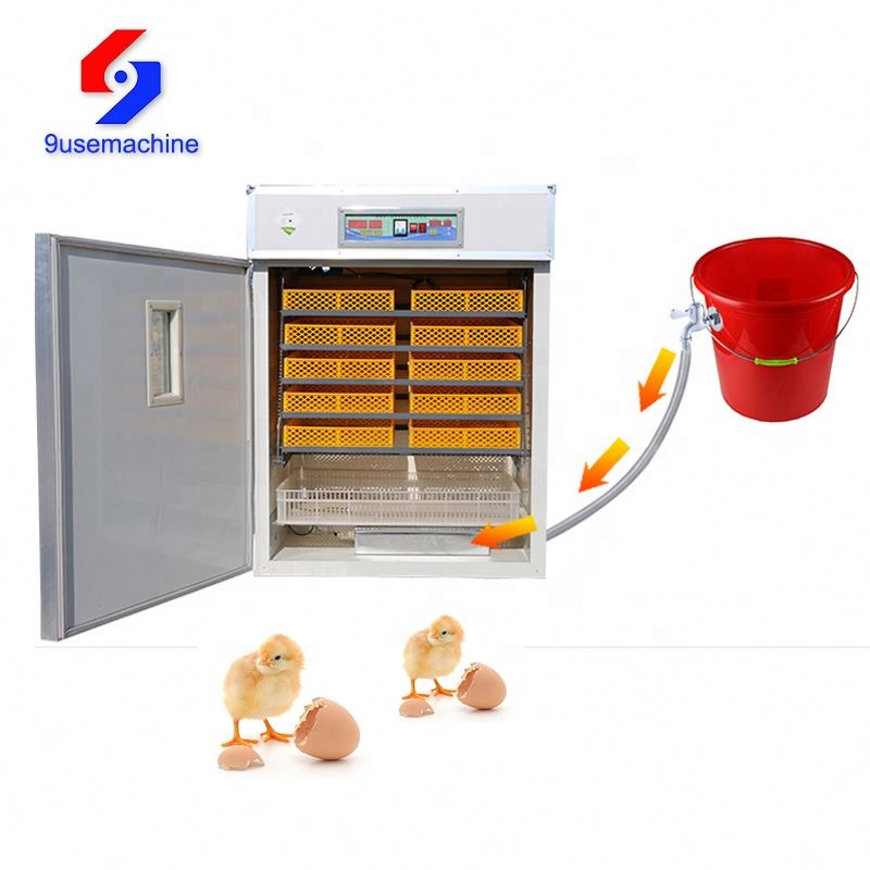 Efficient Hatching Solutions with Advanced reptile eggs hatching ...