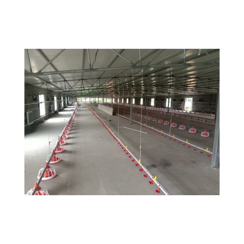 Customized Broiler Chicken Farm Feeding Line Meat Coop Floor Free ...