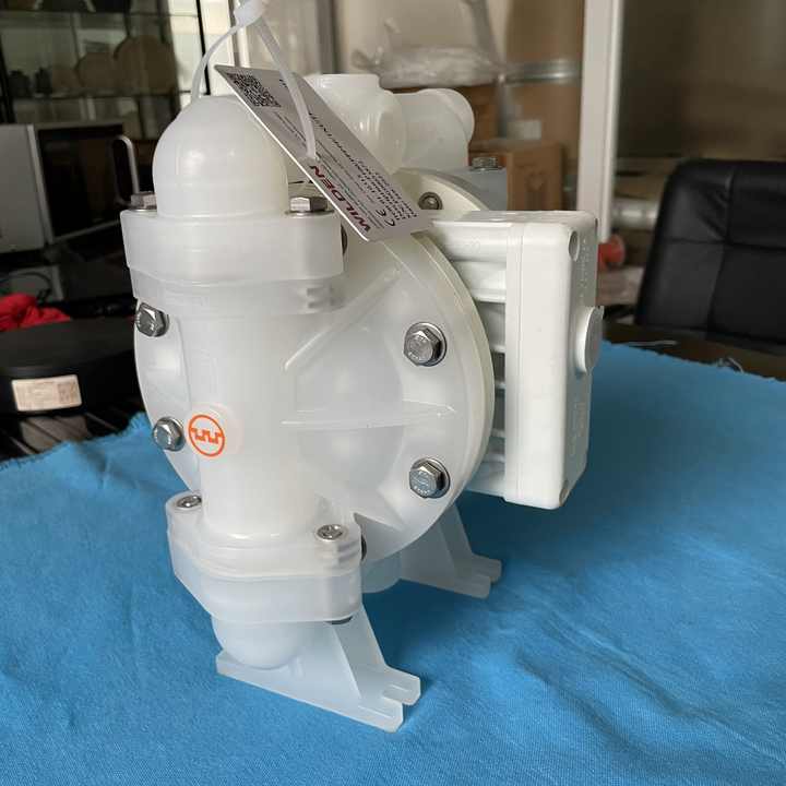 Wilden P100 Bolted Plastic Air Operated Double Aodd Pneumatic Pump With ...