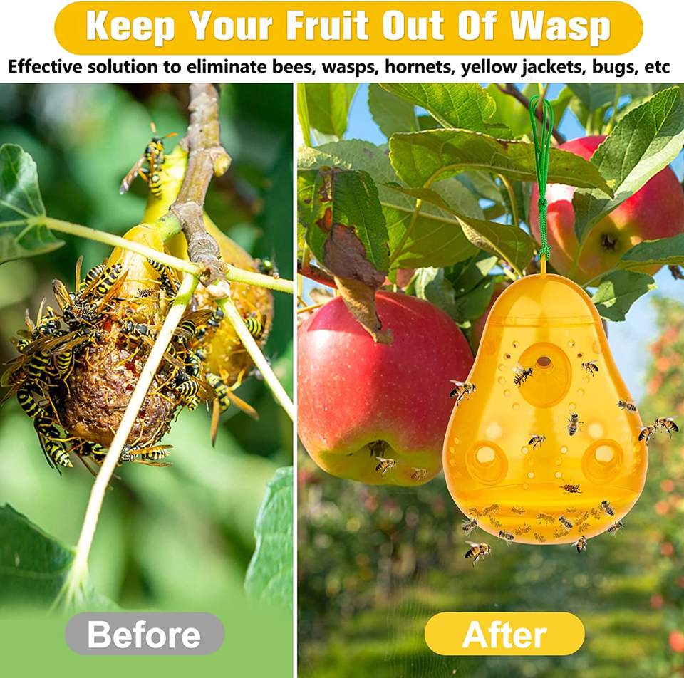 Wasp Trap Reusable Weatherproof Plastic Eco-friendly Solid Bee Killer ...
