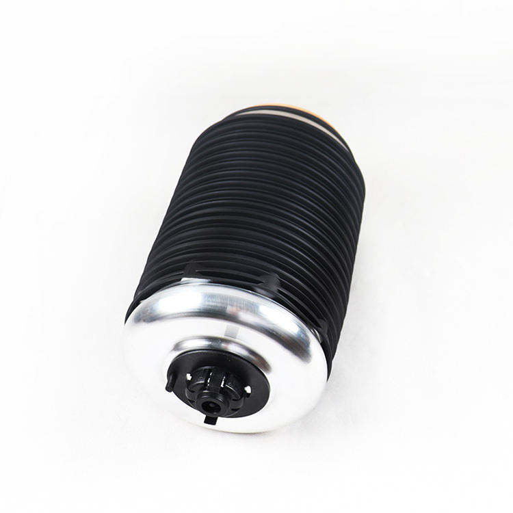 Newsetsail Air Suspension Spring Bag Fit for Audi A6c7 4g air Spring ...