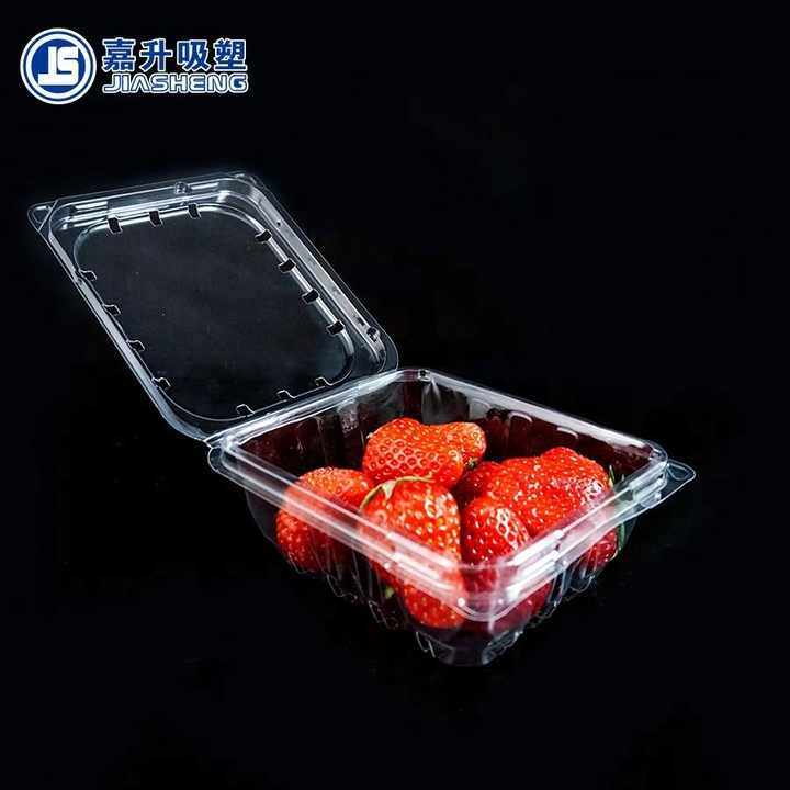 High Quality 500ml Plastic Fruit Box for Strawberries & Blueberries