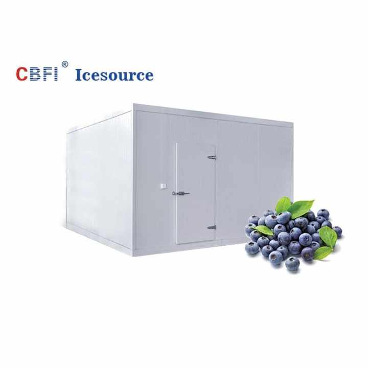 Refrigeration Controlled Atmosphere Storage for Fruits & Veggies