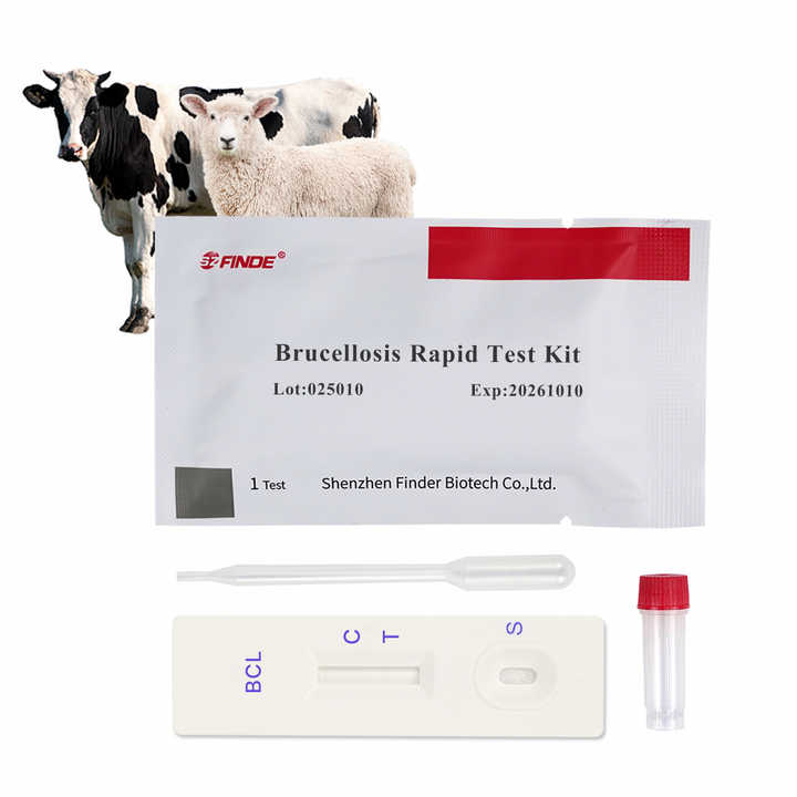 Animal Veterinary Bovine Cattle Brucella Rapid test Kit for Cow Deer ...