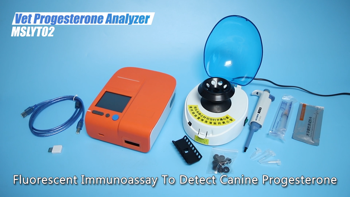 Mini Canine Hormones Progesterone Analyzer - Fast & Accurate