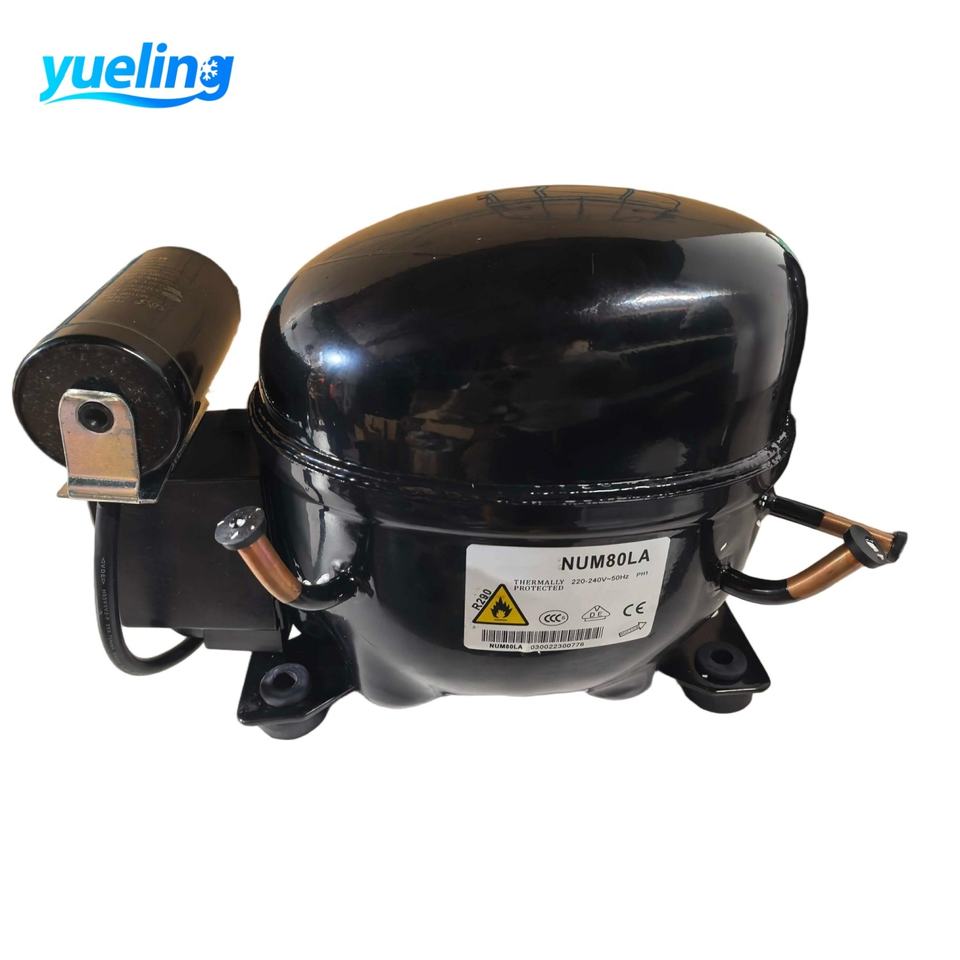 Changhong NUM80LA R290 Refrigeration Compressor 220-240V~ 50Hz 6kg ...