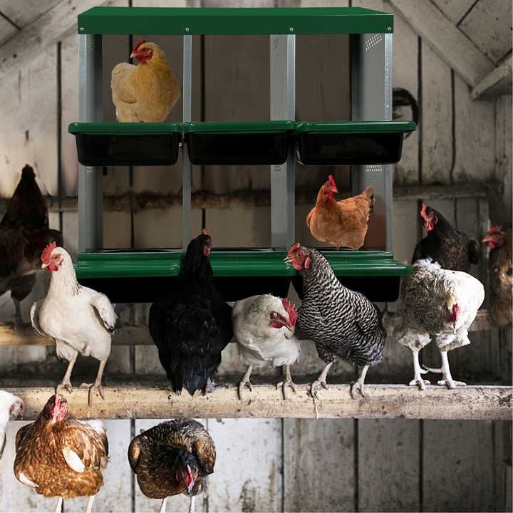 6 Compartment Wall Mount Chicken Nesting Box for Laying Eggs