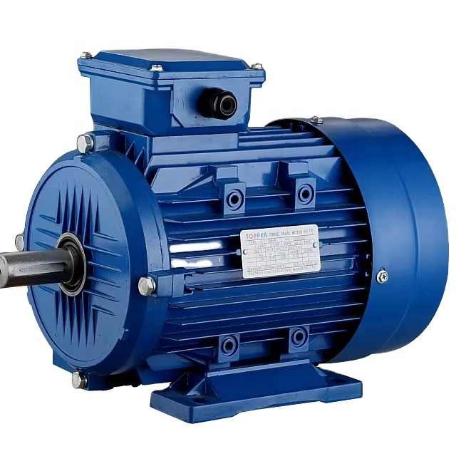 High Efficiency Low Voltage Aluminum Shell Three Phase Induction Electrical Motors Are Available ...