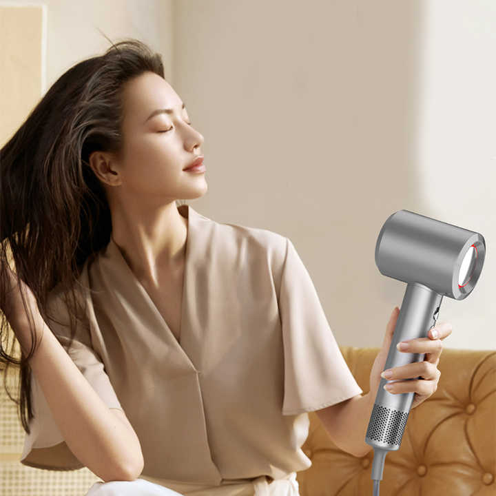 Manufactures Handheld Ionic Salon Hair Dryer With High Speed Drying ...