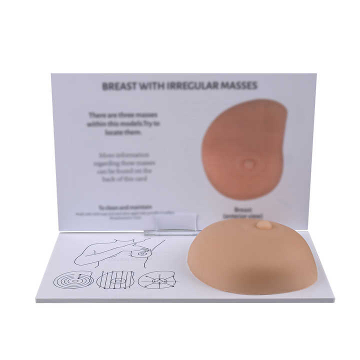 Silicone Anatomical Self-Exam Left Breast Cancer Model