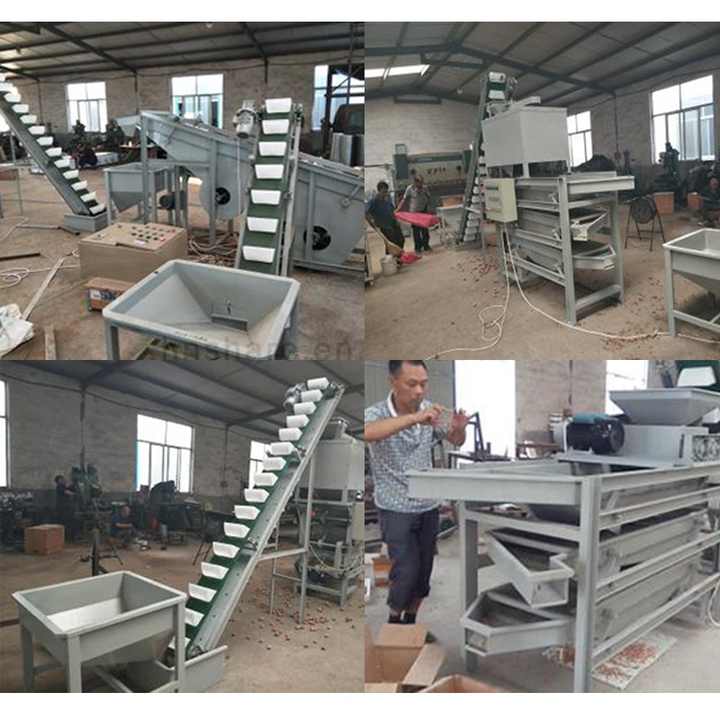 Efficient Walnut Shelling with Automation Palm Kernel Cracker