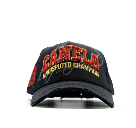 Brim 5 Panel Dandy 3D Embroidery Distressed Curved Brim G5 Gorras ...