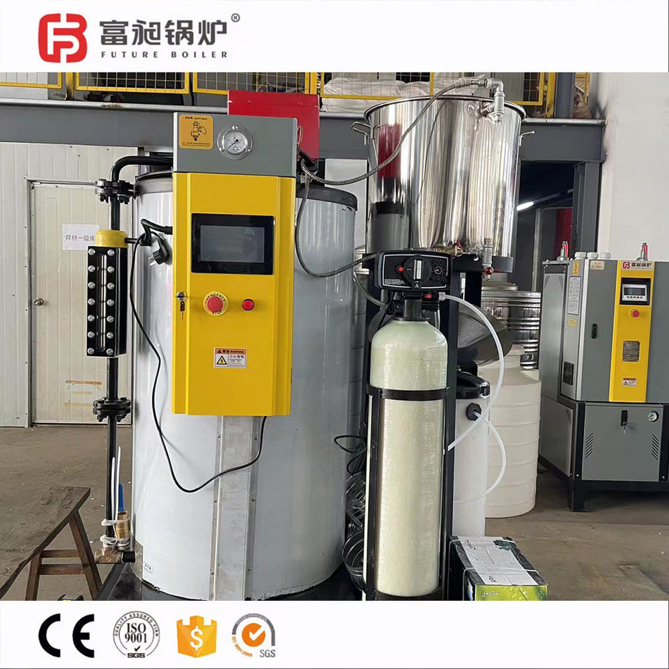 250kg Automatic Blowdown Gas/oil Fired Steam Boiler