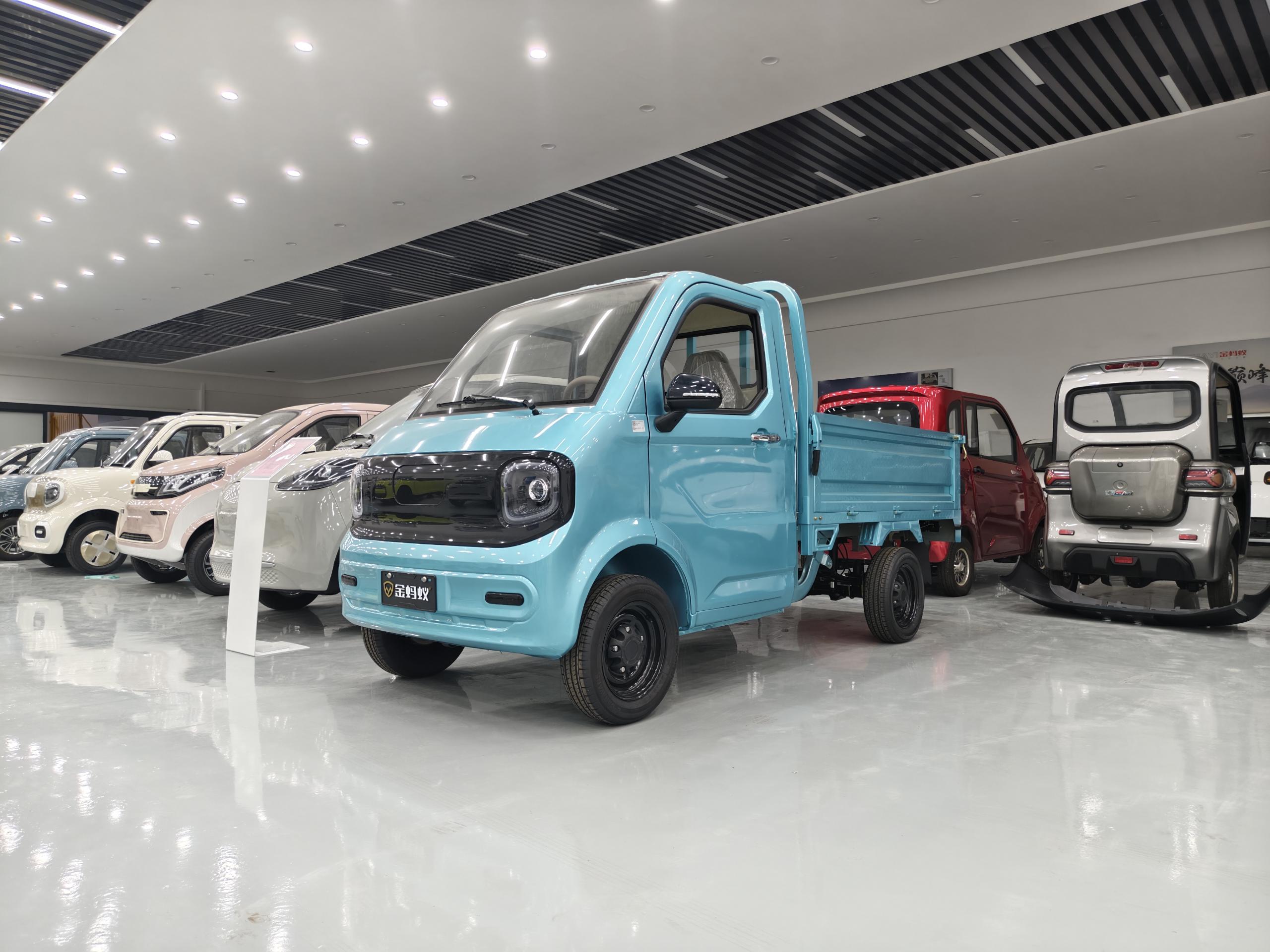 Mini Truck - Electric & Diesel Light Duty Vehicles 2025