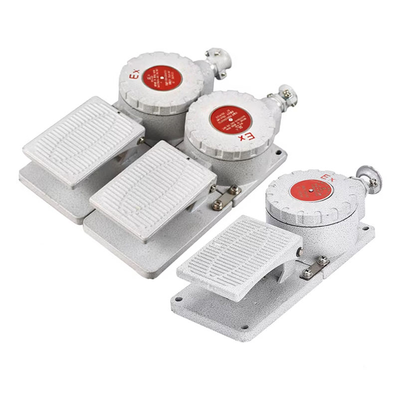 IP65 WF1 Corrosion-Resistant Explosion-Proof Foot Switch with ...