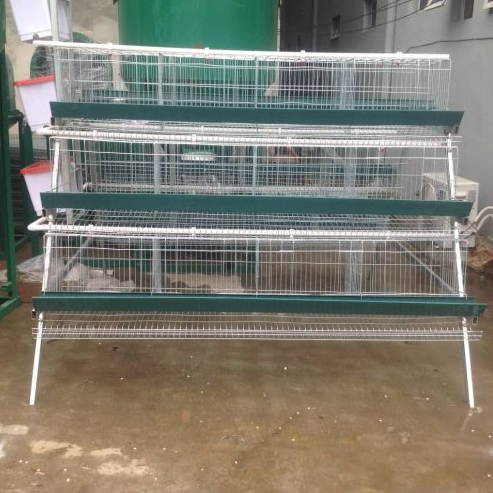 How to Choose the Best Galvanized Cage for Chicken: A Complete Buying Guide