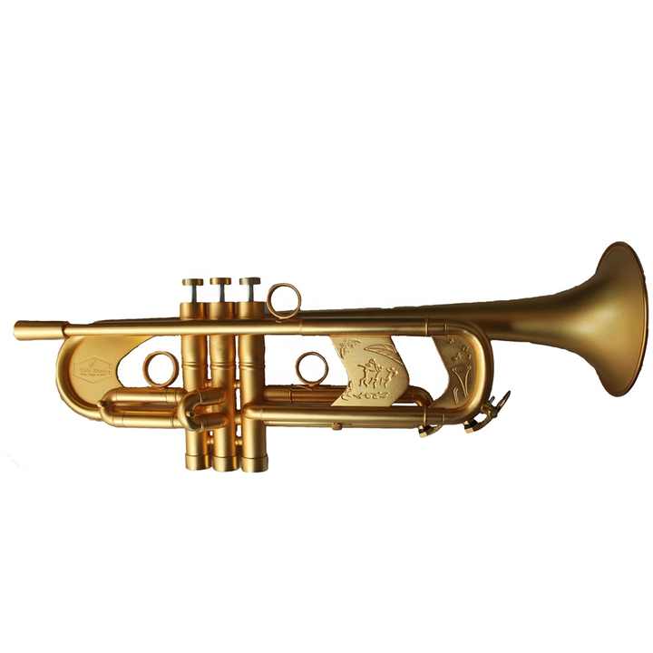TIDE MUSIC Professional Heavy Duty B Flat Trumpet in Satin Gold