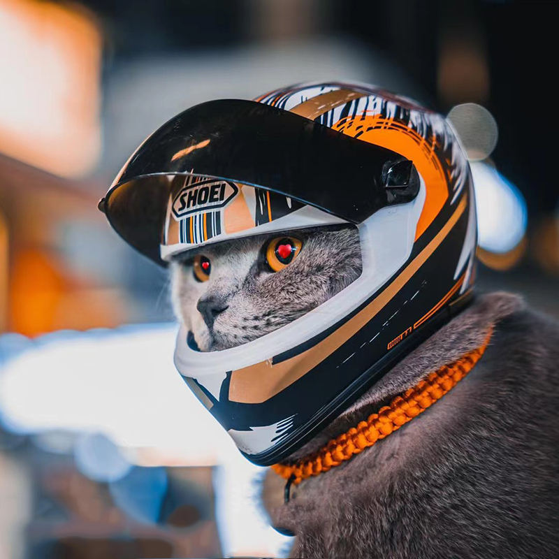 Animal Motorcycle Helmet