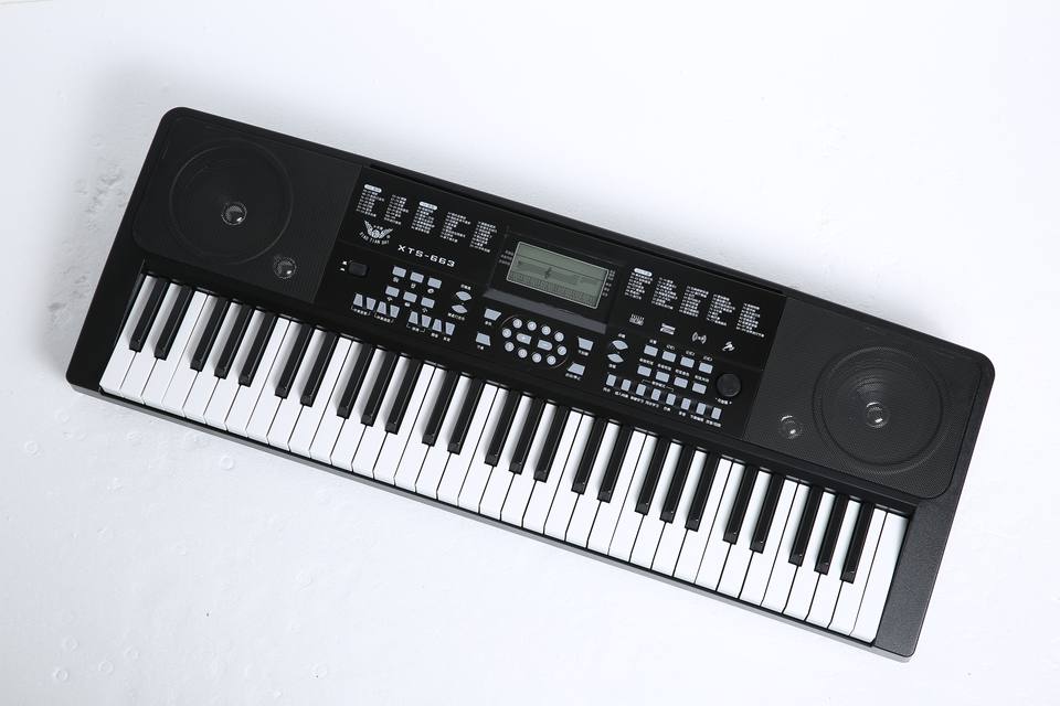61 Keys Standard Fully Enclosed Piano Keyboard Real-time Recording XTS ...