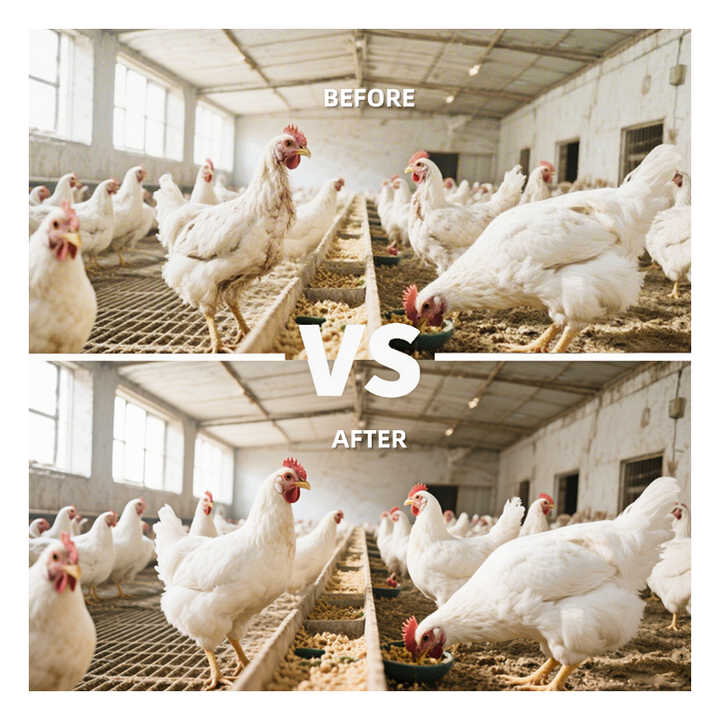 Bio Earn Feed Additive Grade Amino Acids for Healthy Growth of Poultry ...