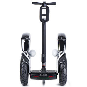 Various Wholesale 2 wheel electric stand up vehicle At Multiple Price ...