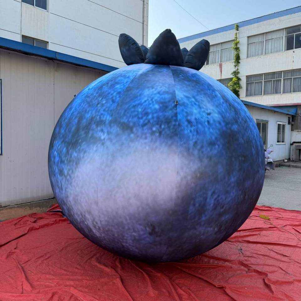 Giant Blueberry Inflatable Advertising Fruit for Events with Snow Globe ...