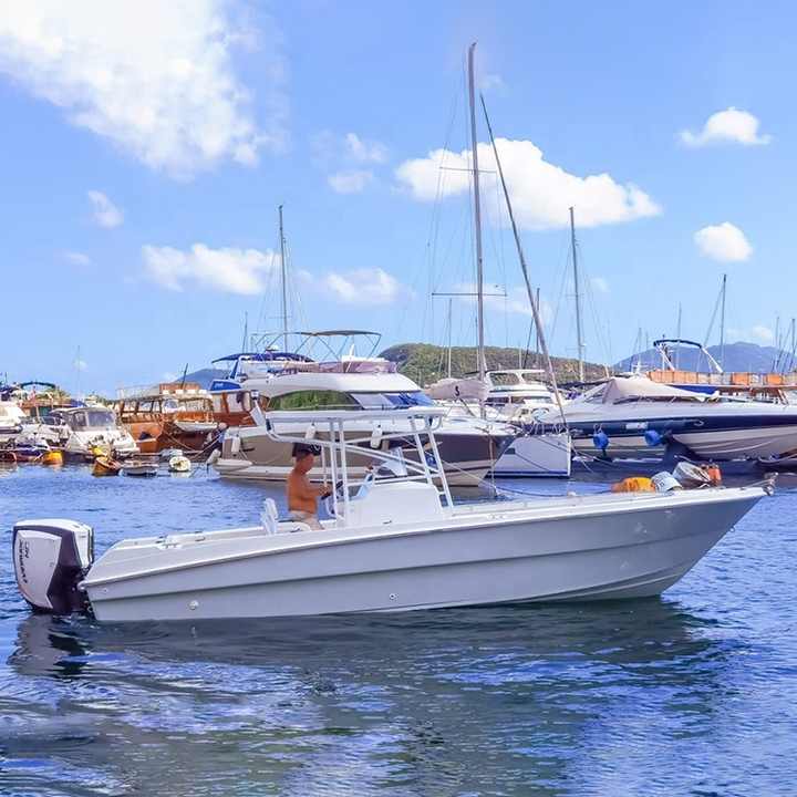 8.50m FRP Center Console Fishing Yacht - Yamane Yacht with Canopy