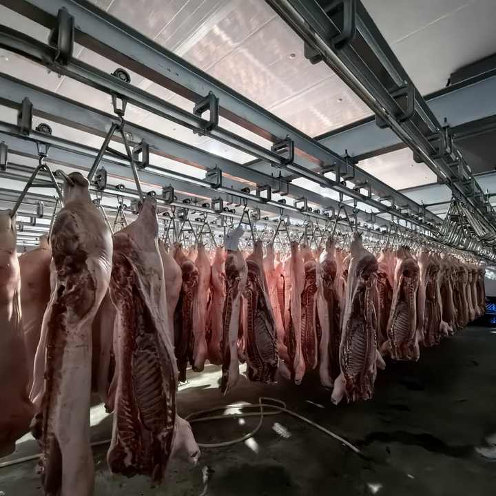 New Full-Automatic Pig Slaughterhouse Equipment Core Motor Component ...